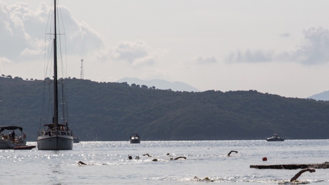 Daisy Bayliss is fundraising for Conservation Collective