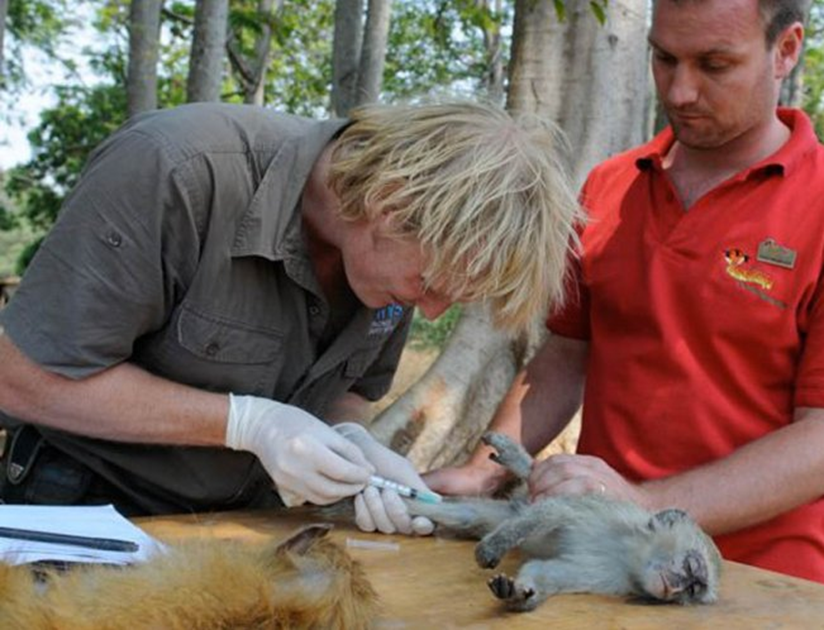 Monique Hawkins is fundraising for Worldwide Veterinary Service