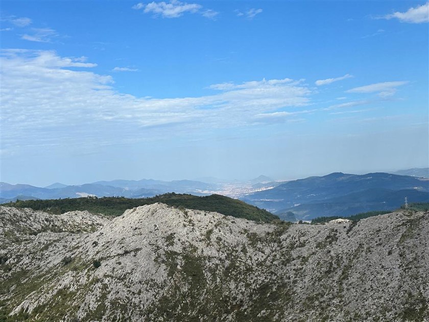 Carol Fletcher is fundraising for St. James's Place Charitable Foundation