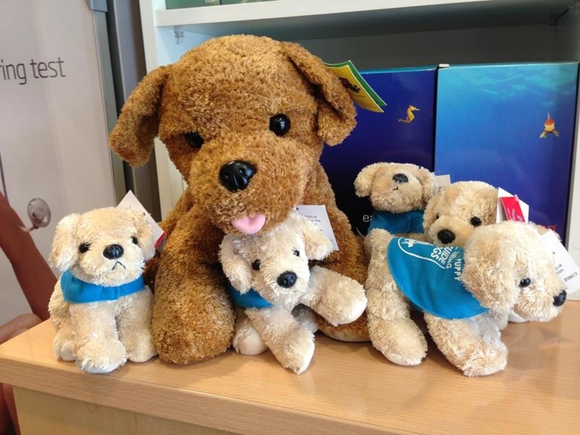 Ruth Lalor is fundraising for Guide Dogs