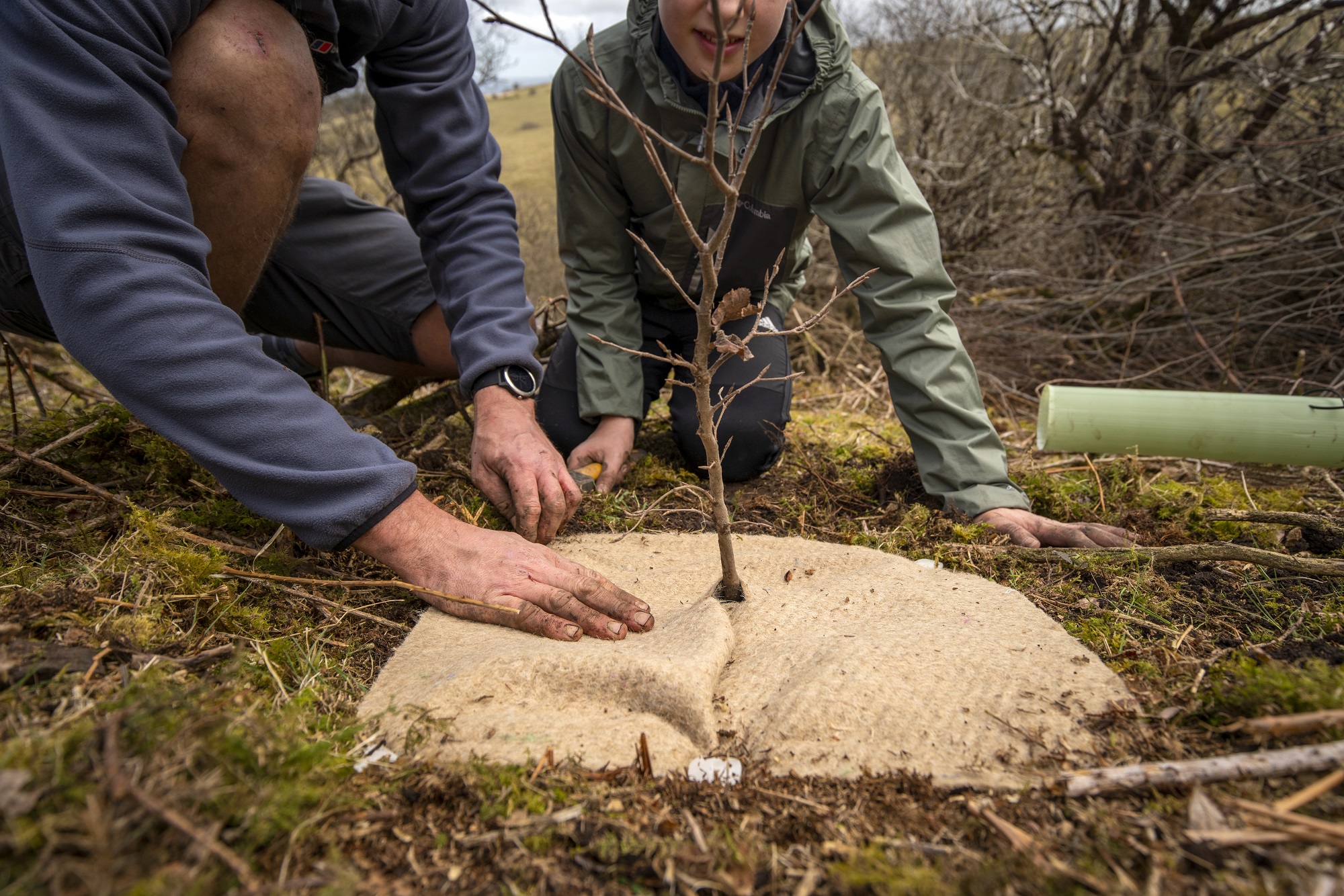 Help us engage with more of our community to collect tree seed ...