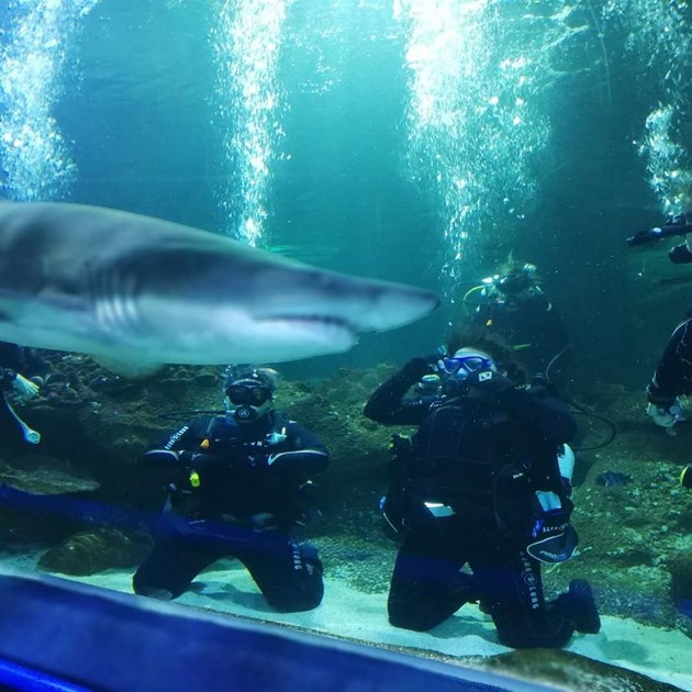 Kathy Dutton is fundraising for The Whitechapel Centre