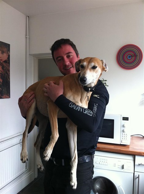 David Cleal is fundraising for Animal Free Research UK