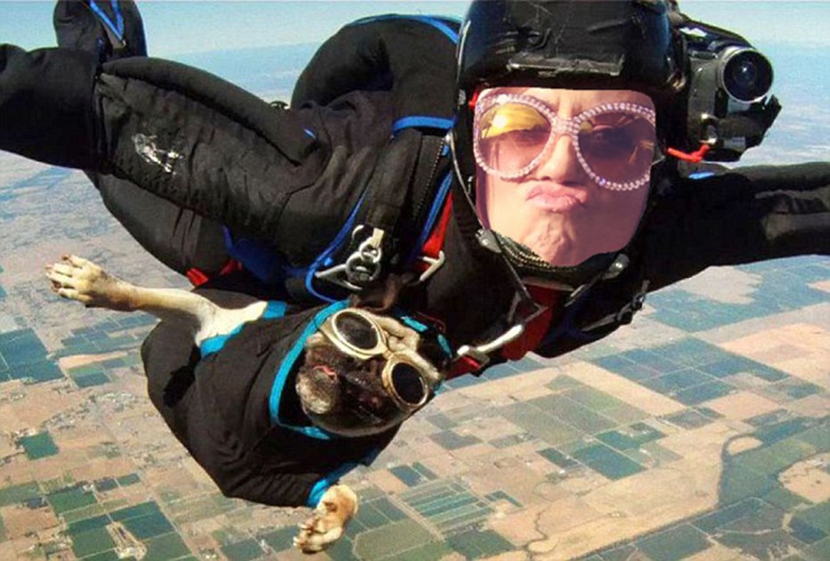 Sophie Batchelor is fundraising for ellenor