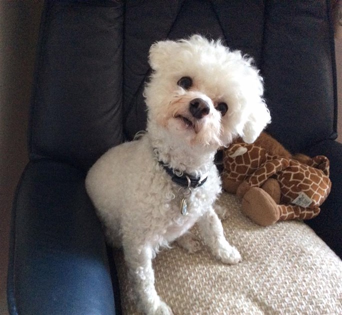 Ina Thompson is fundraising for British Heart Foundation