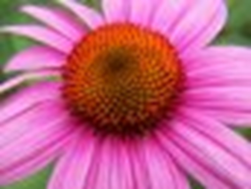 Kate Cresswell is fundraising for Cancer Research UK