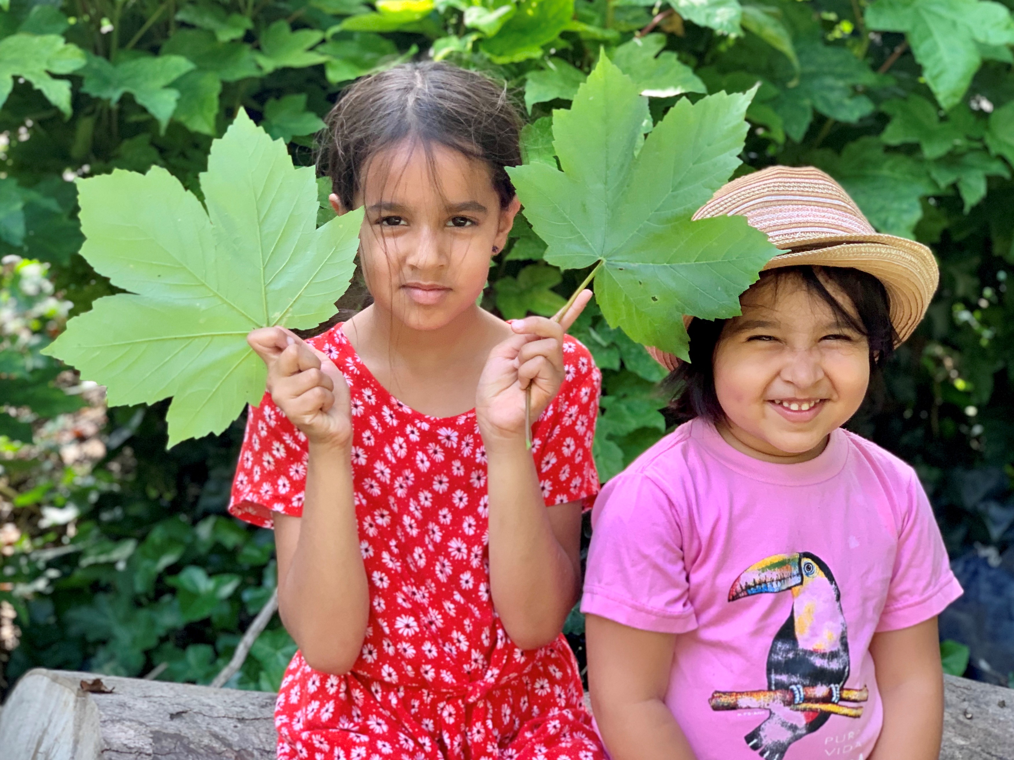 Ambreen shah is fundraising for Cancer Research UK