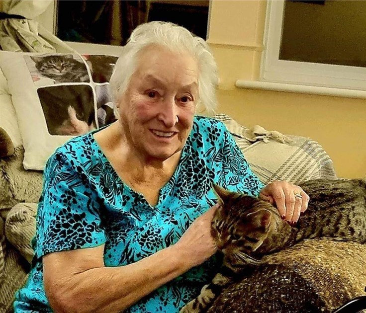 Billy Devitt is fundraising for Wisteria Cat Rescue