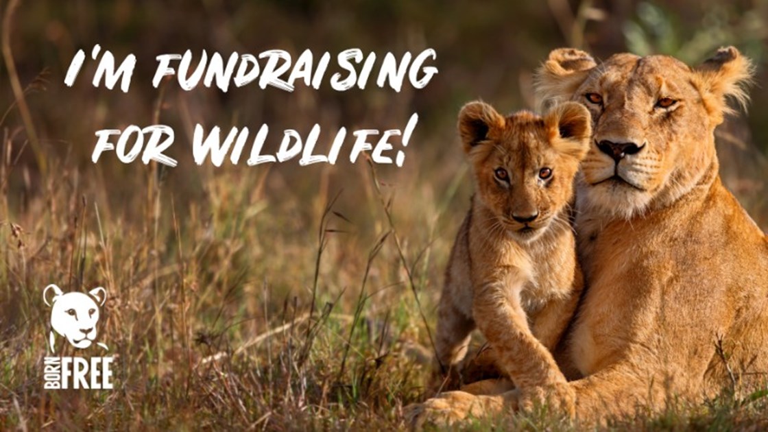 Craig Woolley is fundraising for Born Free Foundation