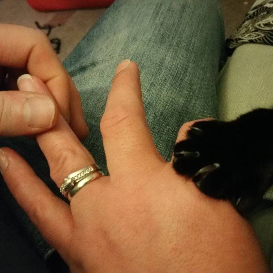 HEIDI FORD-FORRESTER is fundraising for Hospice in the Weald