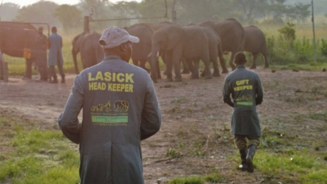 Archie Gardner is fundraising for Council Of Milton Abbey School Ltd