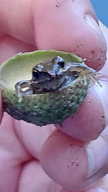 Nigel Chadwick is fundraising for Macmillan Cancer Support