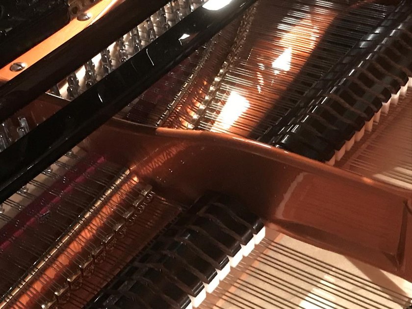 Edward Greeno is fundraising for Benedetti Foundation