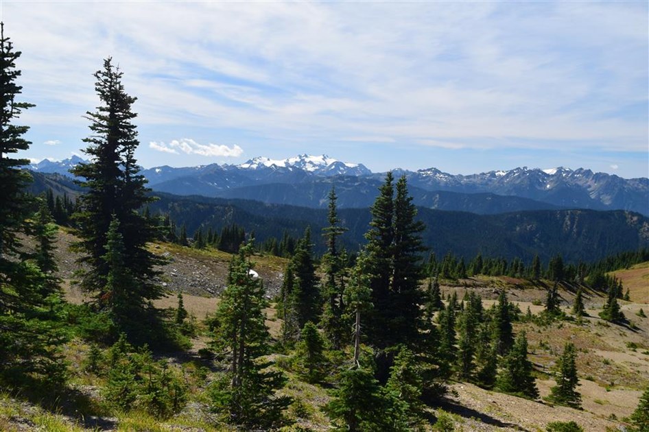 Jessica Congdon is fundraising for Washington's National Park Fund