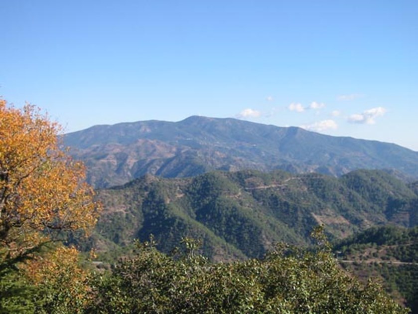 Sarah Brightwell is fundraising for Bliss