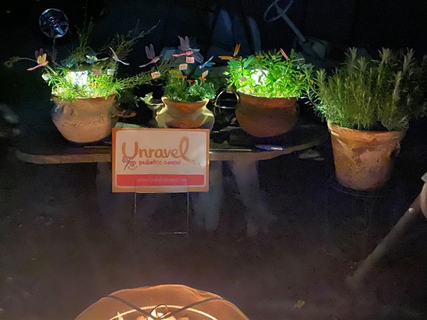 Erickson Family is fundraising for Unravel