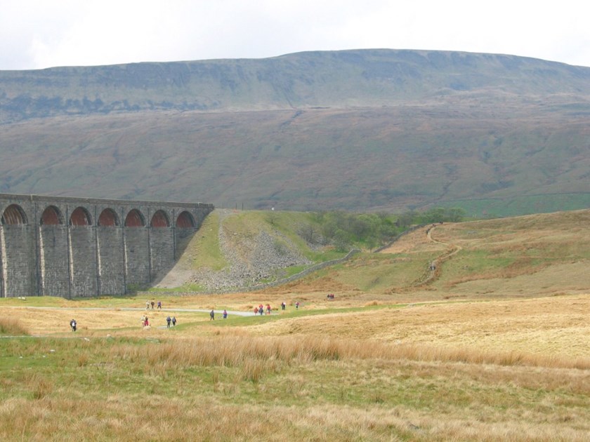 Daniel Longstaff is fundraising for The Lily Foundation