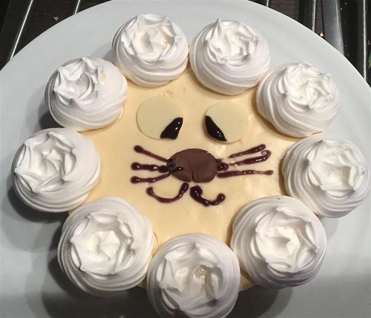 Barbara Featherstone is fundraising for Cats Protection