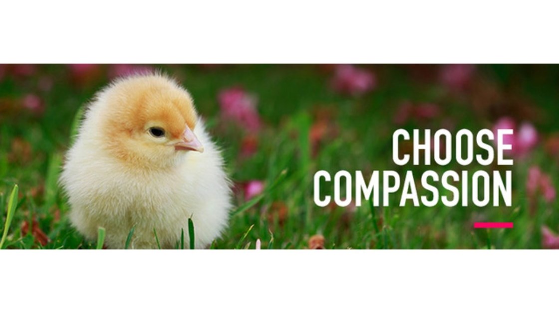 Isobel Martin and Melanie Wallington is fundraising for Animal Equality