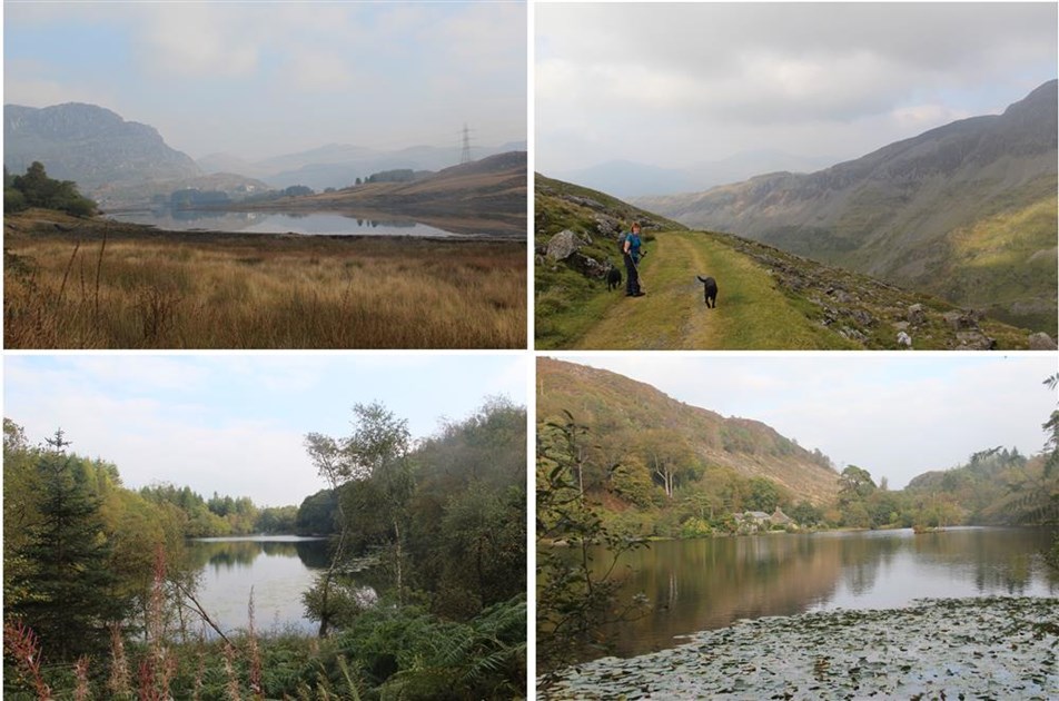 Philip Percival is fundraising for Barnardo's