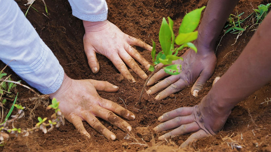 Suzi Evans is fundraising for TreeSisters