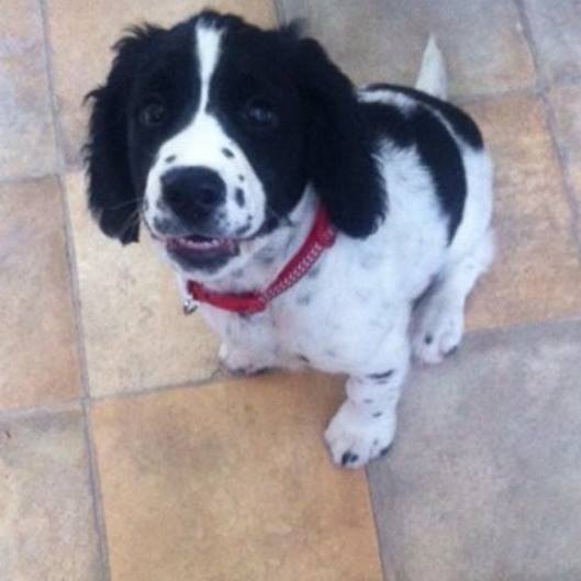 Beryl Drake is fundraising for Samaritans