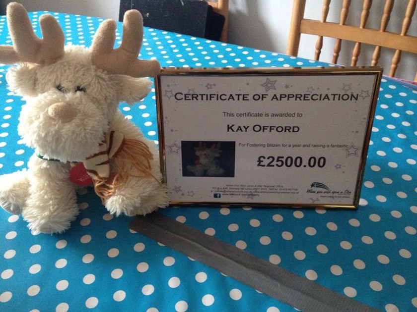 Sarah Town is fundraising for When You Wish Upon A Star