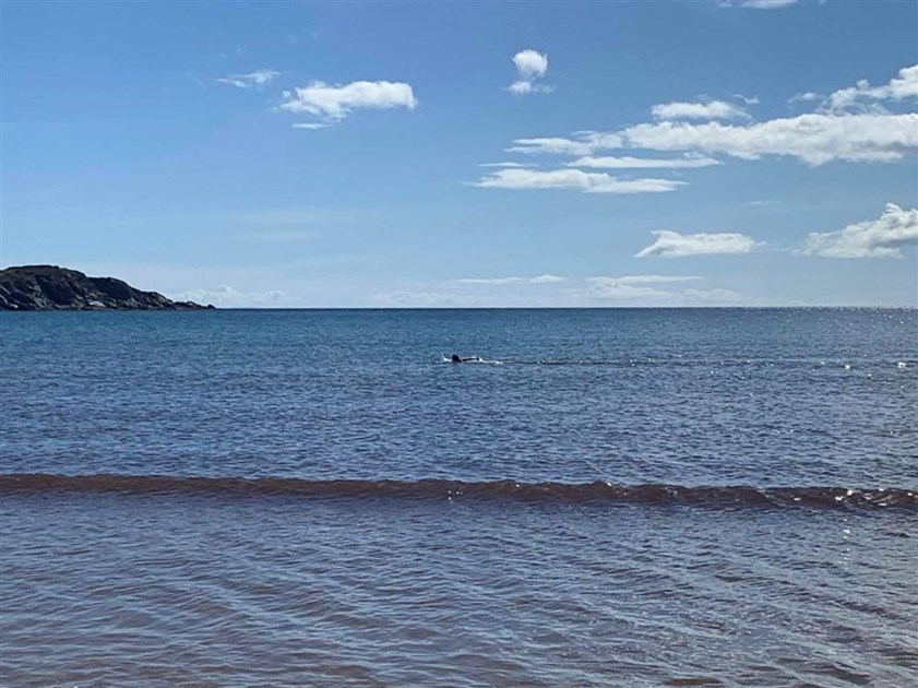 Alice Beglan is fundraising for Cancer Research UK, Marie Curie & The ...