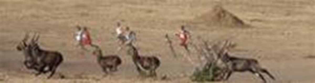 sheryl needham is fundraising for Tusk Trust