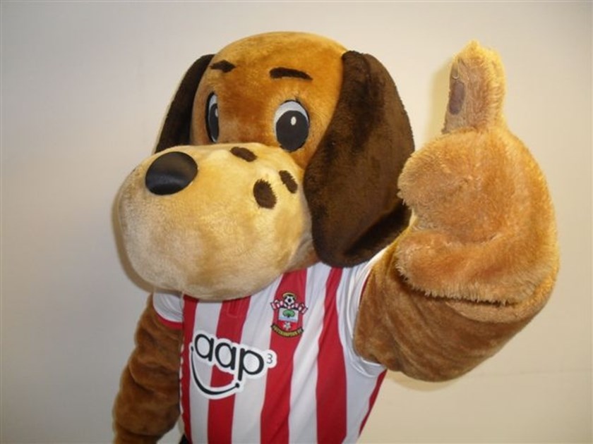 Sammy Saint is fundraising for Saints Foundation