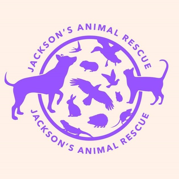 Rachel Charnley is fundraising for Jackson's Animal Rescue