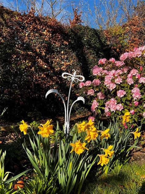 Shona Johnson is fundraising for The British Red Cross Society