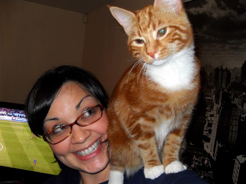 Shasta Lopes is fundraising for Mrs Murray's Home for Stray Dogs and Cats