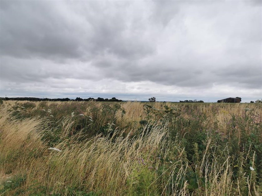 Kate Harford is fundraising for Cancer Research UK