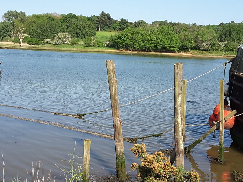 Hayley Field is fundraising for Suffolk Artlink