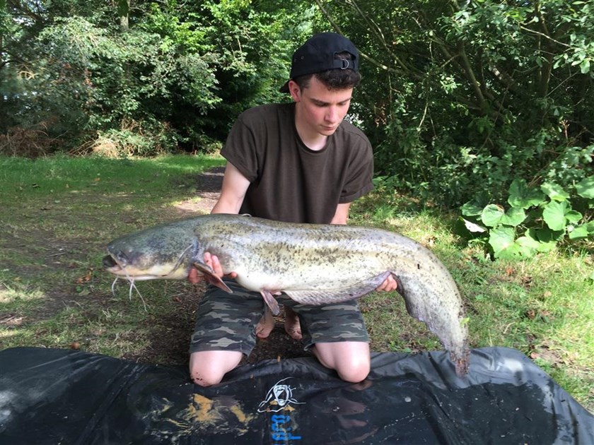 Michael Treadwell is fundraising for Cancer Research UK