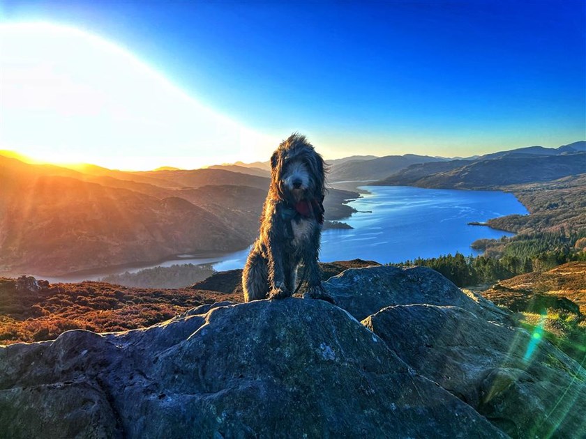 Rebecca Mckay is fundraising for GEAAP