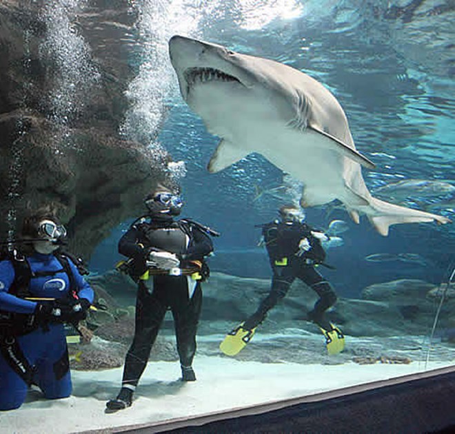 James Larmuth is fundraising for Multiple Sclerosis Society