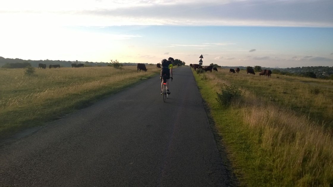Ashley Buttle is fundraising for Nuffield Orthopaedic Centre Appeal