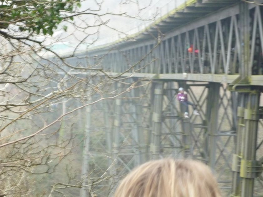 Laura Maynard is fundraising for Marie Curie