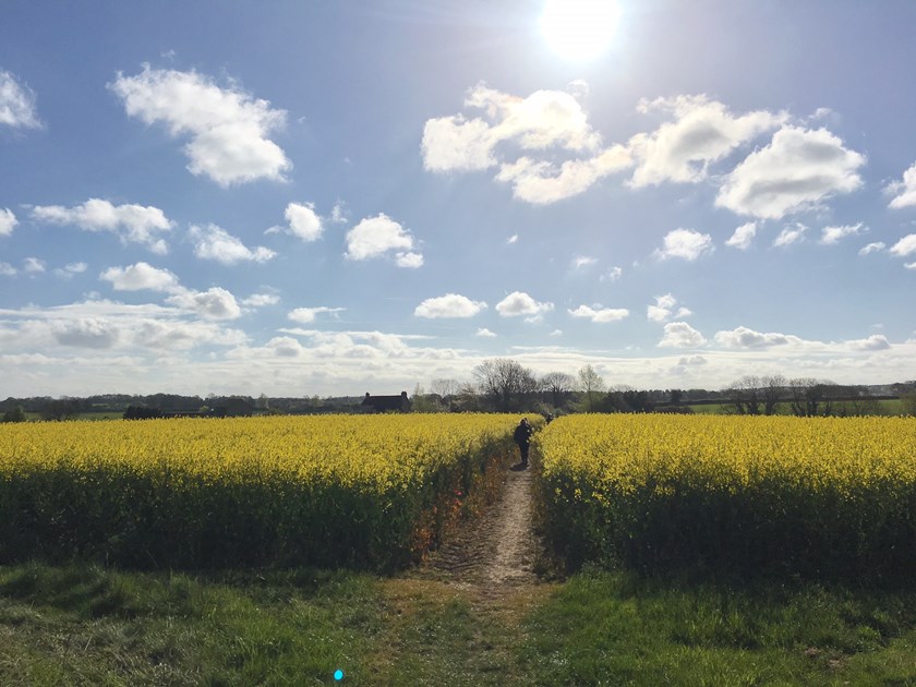 Tania Evans is fundraising for ROSY Fund (part of the Oxford Health ...