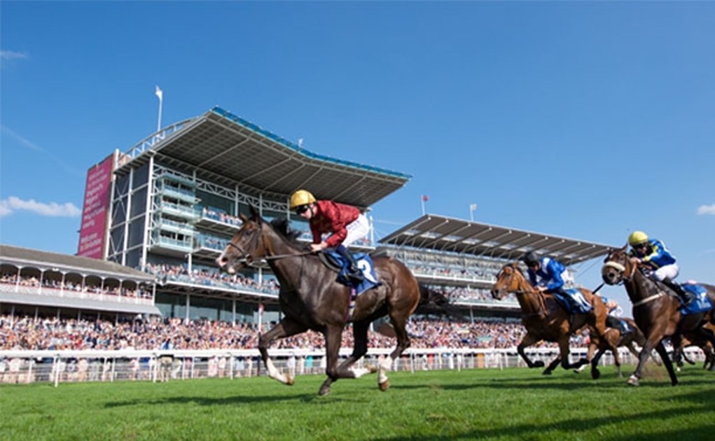 William Derby is fundraising for CEO Sleepout