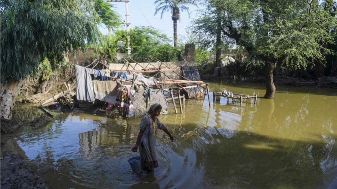 Shamaz Khan is fundraising for Suffah Foundation