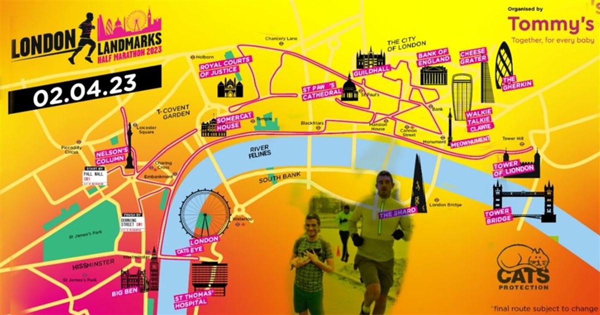 Vincent McLaughlin is fundraising for Cats Protection