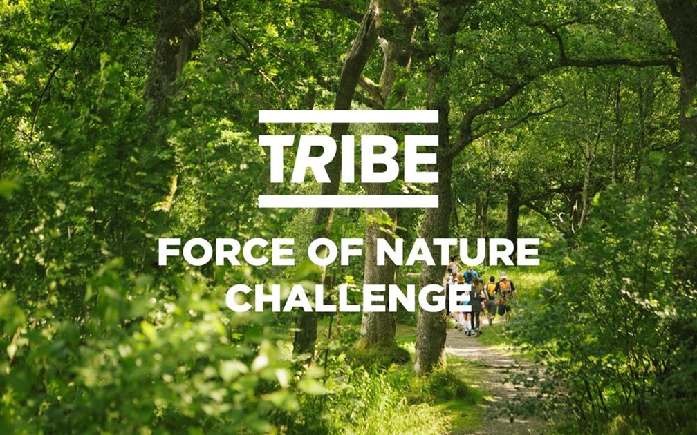 DOM MCMURRAY is fundraising for TRIBE Freedom Foundation