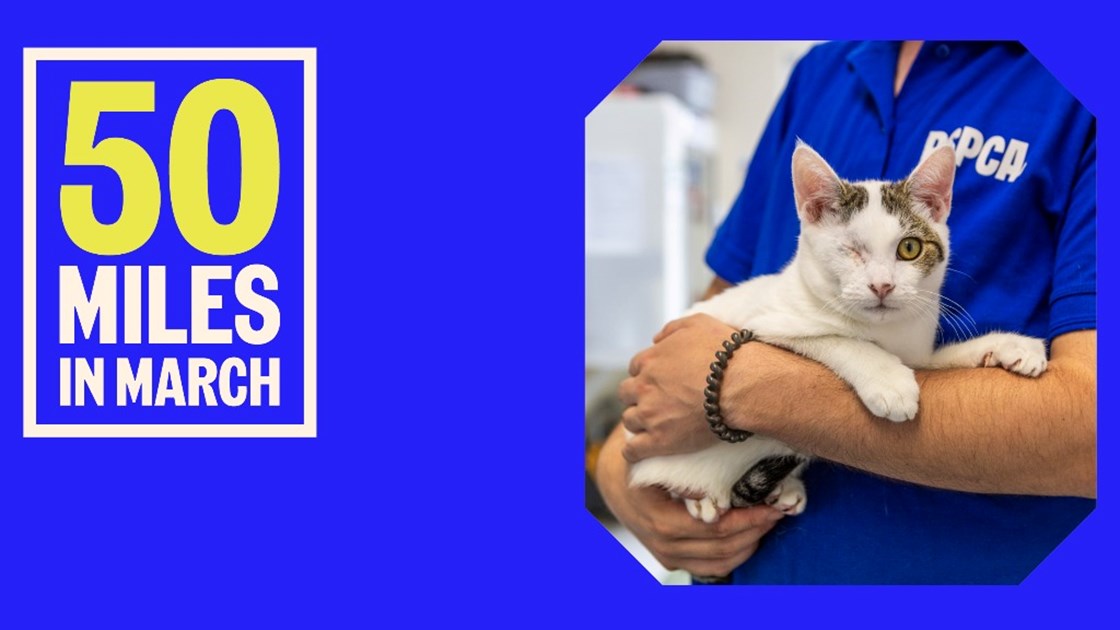 david tickle is fundraising for RSPCA