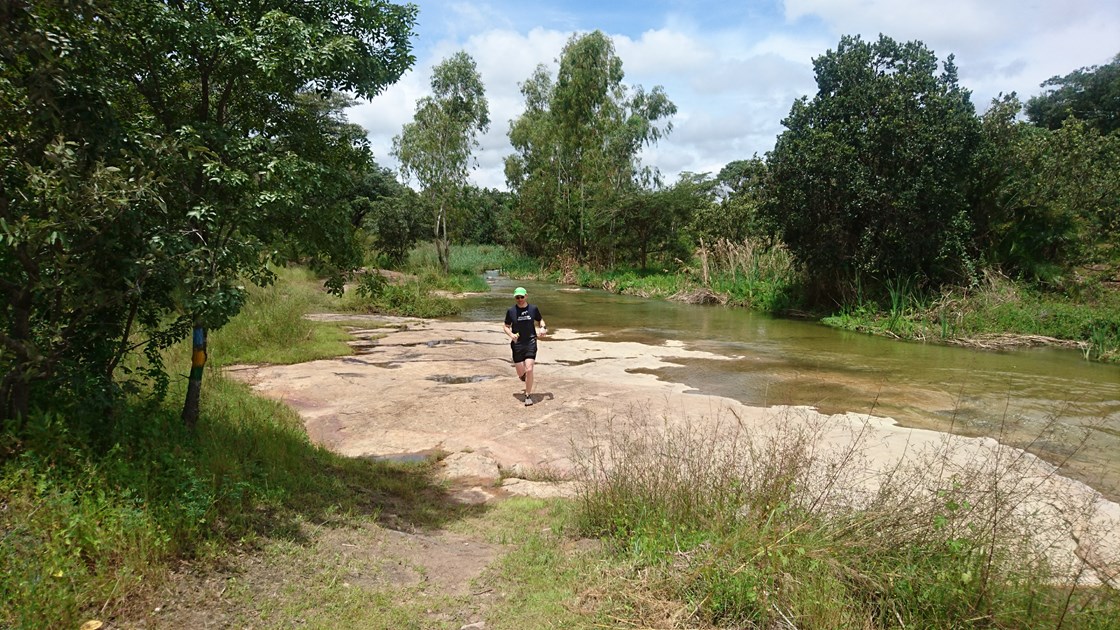 Robert Swinton is fundraising for African Wildlife Conservation Fund