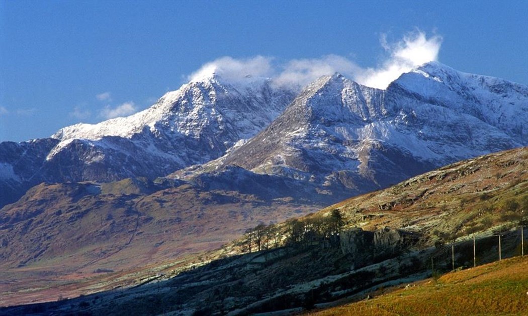 Sandeep Aujla is fundraising for Balls to Cancer