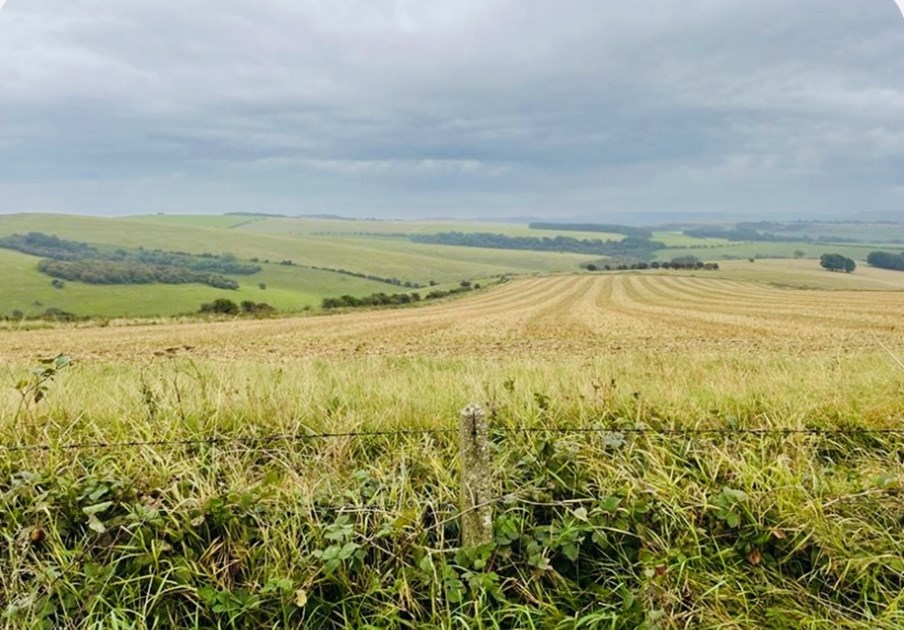 Kathy Brewis is fundraising for Macmillan Cancer Support