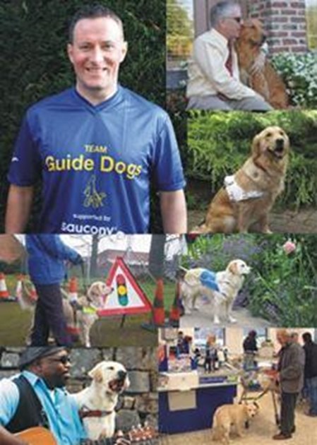 Ian Rogan is fundraising for Guide Dogs